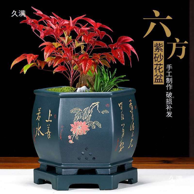 兴紫砂花盆兰子花专用大方形号宜盆景盆thu+lohl吊兰君兰家用装饰