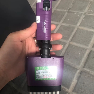 议价维修Labnet BioPette Plus8通道移液器，紫色手