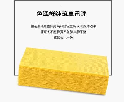 新品蜂箱深用中蜂巢础蜂专房v蜂巢蜂蜡片L箱养蜂工具蜜蜂巢脾巢基