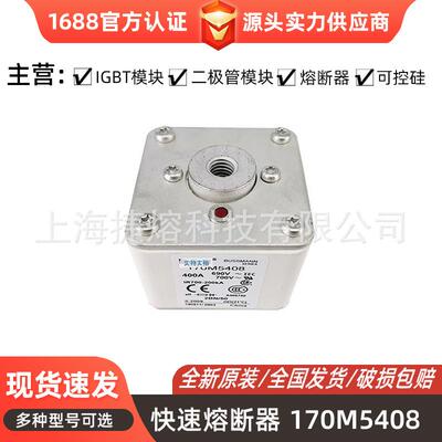 170M5408170M5410快速熔断器保险丝电子元器件量大价优