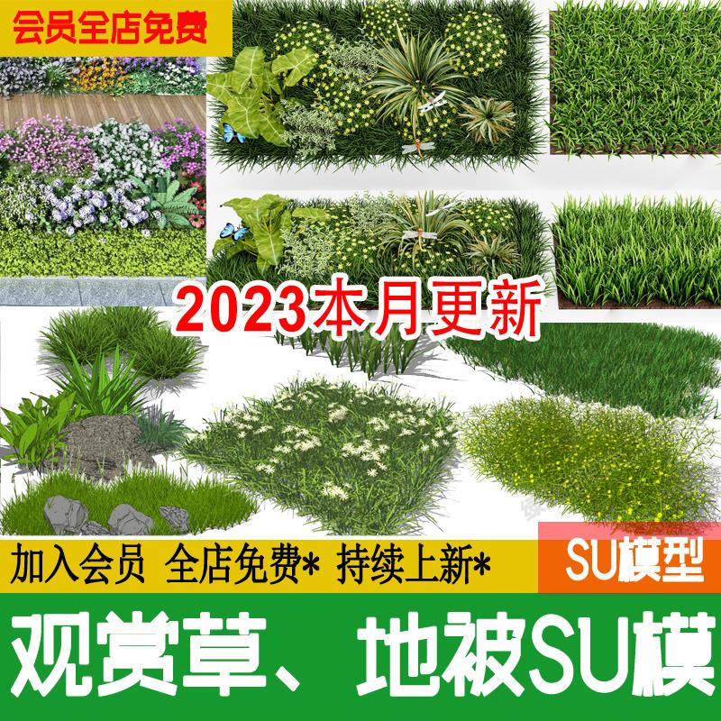 3d三维花草 地被园林植物草坪草花 草皮草丛 观赏草 三叶草su模型