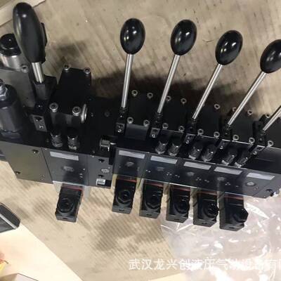液压多路阀PSV51/250-5-55L160/120/EA-55L160/120/EA-E4-G24