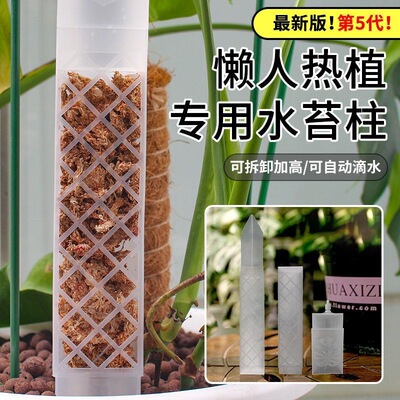 水苔柱龟背竹可拼接造型热植攀附