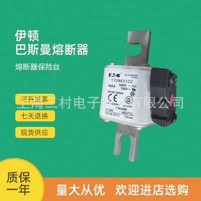 全新原装快速熔断器保险丝170M3171 170M3172 170M3173 170M3188
