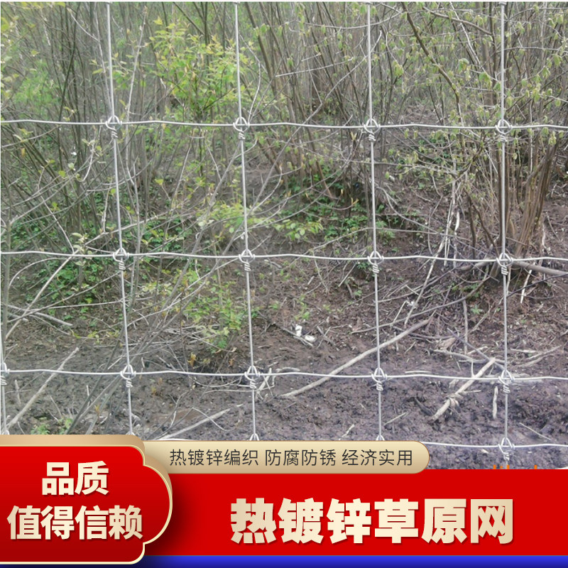 新品热镀锌钢h丝网铁丝网养殖护栏网牛栏网草原网果园圈地农场户