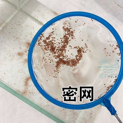 鱼缸捞粪网高密度纱网兜鱼苗丰年虾卵水蚤鱼龟粪便细眼网孔鱼捞网