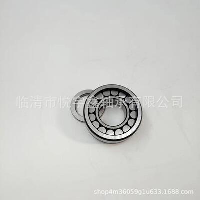 SI183028 SI183030 SL182204 SL182205 装满圆柱滚子轴承