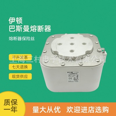 全新原装快速熔断器保险丝170M7975 170M7978 170M7982 170M8016