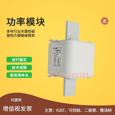 极速适用170M6083/6084/6085/60A86/6087/6094/6103/6108快速保险