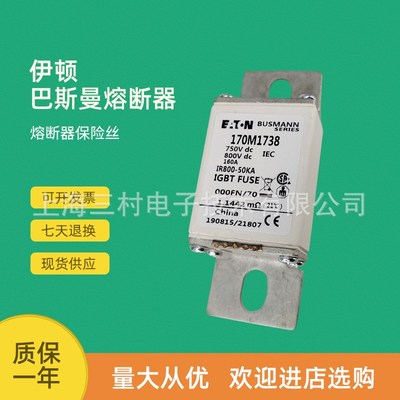 全新原装快速熔断器保险丝170M1757 170M1758 170M1759现货保护