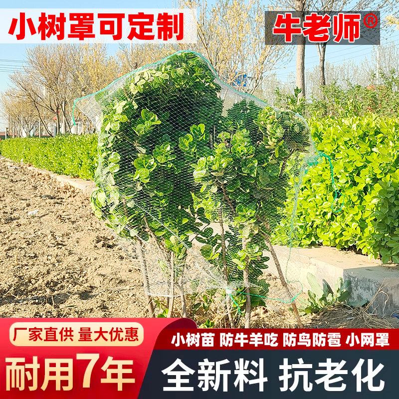 牛老师小树罩防鸟网农用防鸟罩全新料抗老化庭院果树防护网