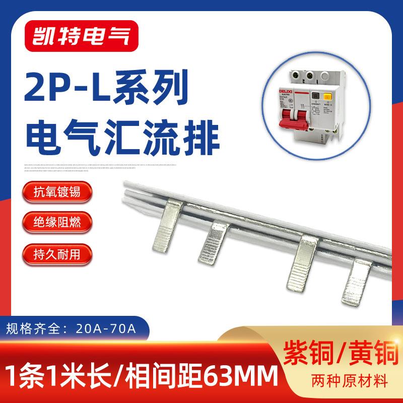 2P漏电63A汇流排20A-70A紫铜黄铜漏报连接排C45断路器接线排KT008