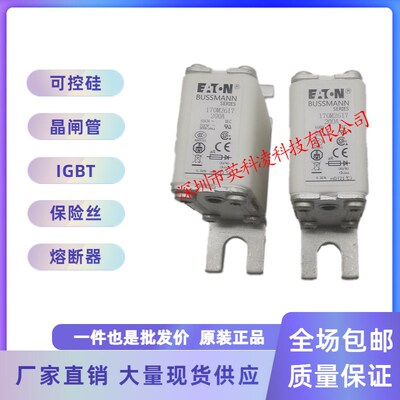 巴斯曼170M2618  170M2619  170M2617  170M6268  全新现货保险丝