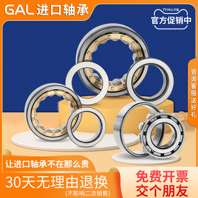 日本GAL进口圆柱滚子轴承NU2304 NU2305 NU2306 NU2307 NU2308EM
