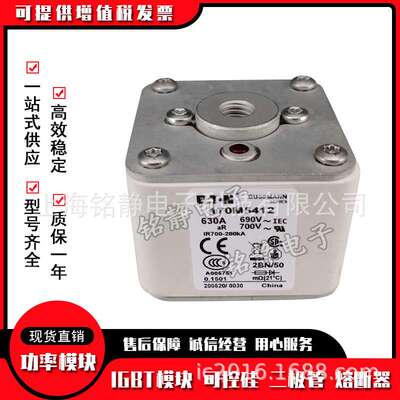 170M5408 170M5409 170M5410熔断器170M5411巴斯曼保险丝170M5412