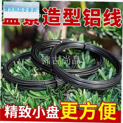 景铝线造型工具植物绿植专用铝丝花卉铁丝S扎带盆景定型吕丝.