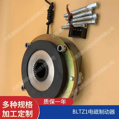 电磁失电制动器BLTZ1-15 BLTZ1-30 BLTZ1-40电机刹车抱闸摩擦片
