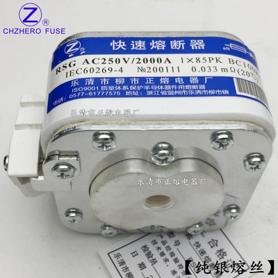 优质RSG-250V/10A 15A 20A 25A 30A 35A 40A 50A快速熔断器