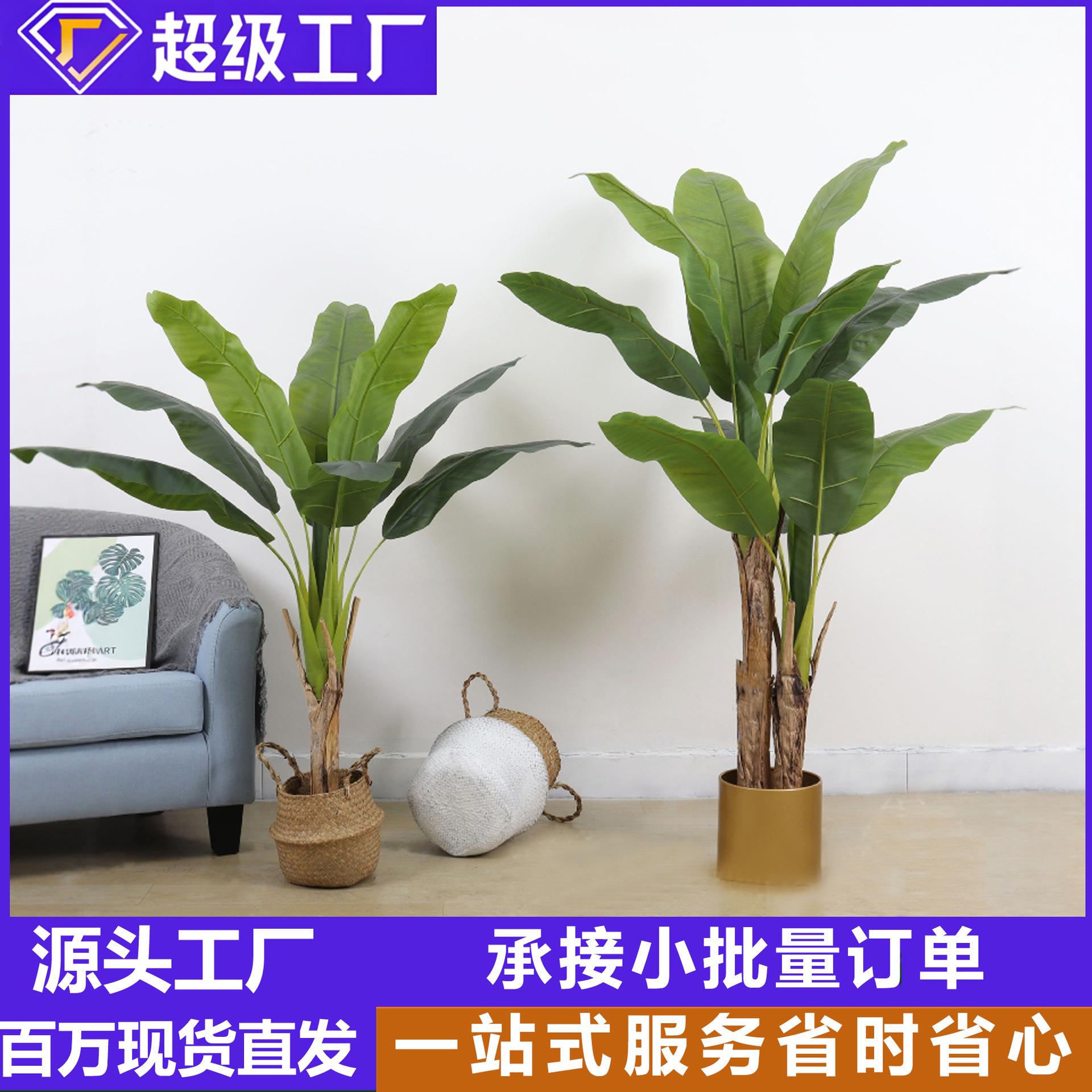 芭蕉树仿真植物大型绿植假盆栽室内装饰落地盆景客厅仿真 香蕉树