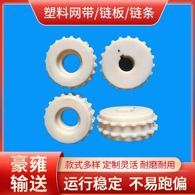21齿双排链轮5935网带配套链轮MC尼龙自润滑齿轮含油链轮传动齿轮
