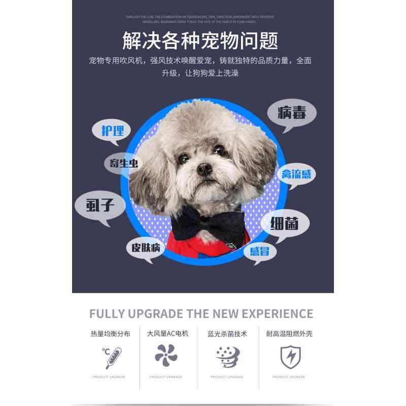宠物电吹风机大小功率猫咪泰迪金毛狗狗大小型犬专用宠物店吹水机