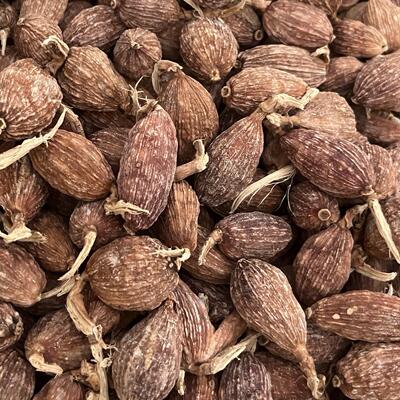 云南怒江草果 高级特价新品香辛干调料原产地直发 0添加无防腐剂