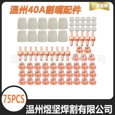 75PCS电极/电嘴/瓷嘴/分流器PT-31温州40切割易耗品