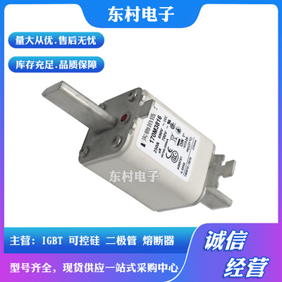 熔断器170M3957 170M3958 170M3959 170M3960 170M3961全新现货