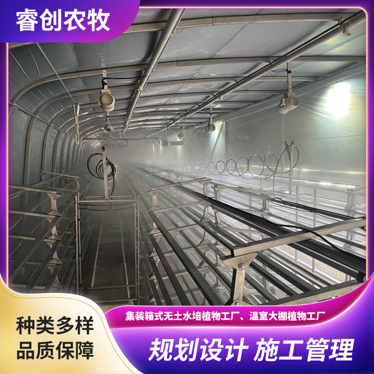 智能化无土栽培设备温室大棚式种植系统 温室大棚式牧草种植