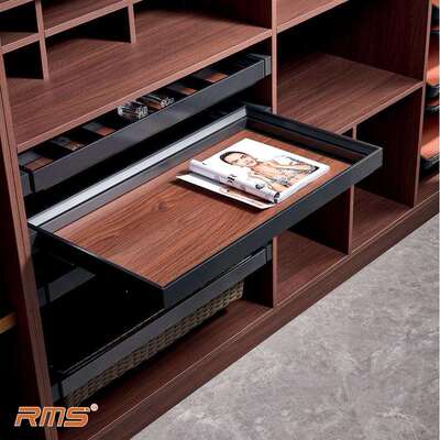 RMS现货衣帽间收纳配件珠宝饰品平拉篮收纳框StorageBox