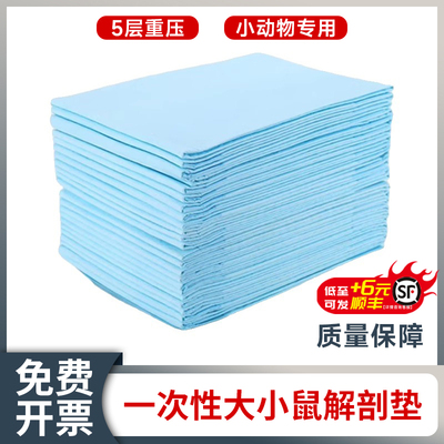 小鼠解剖垫免费开票量大优惠