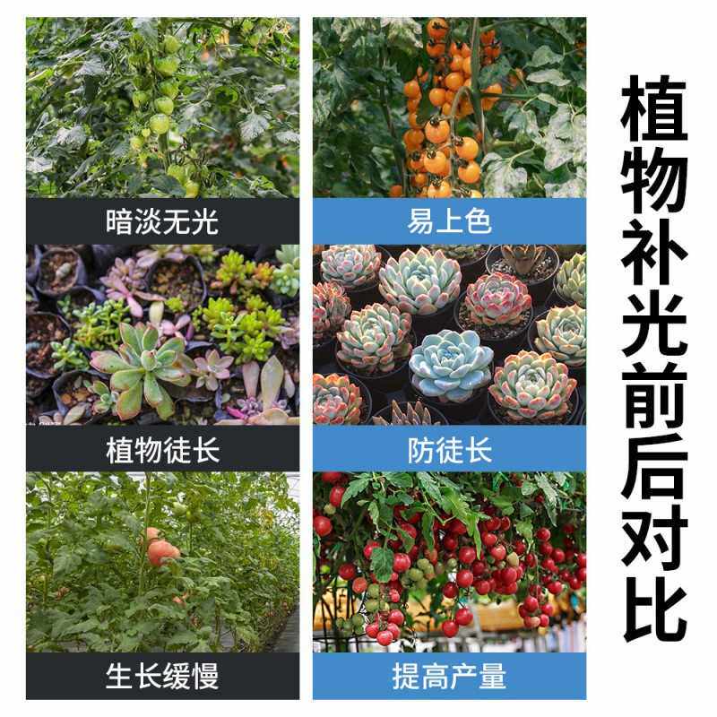 热销LED植物生长灯室内大棚全光谱大功率种植灯