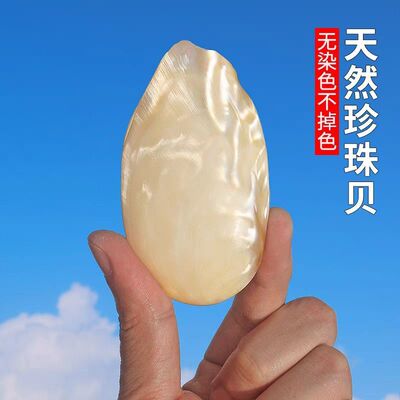 珍珠贝把件送朋友小礼物家居装饰特色工艺品满包邮天然海螺贝壳
