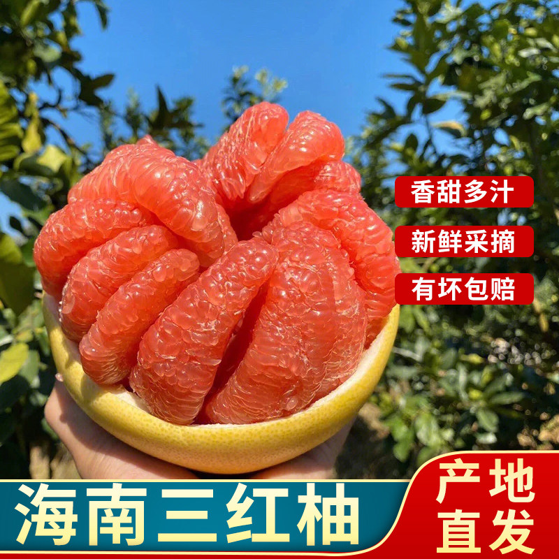 正宗海南新鲜三红柚 应季采摘三红蜜柚红肉柚子相香甜多汁水果