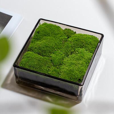 现代透生FWT明玻璃花瓶器永绿植花盆景餐桌洽谈桌卧室装饰摆