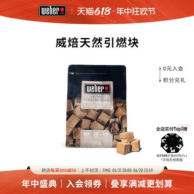 Weber威焙碳炉固体木炭引燃块野外烧烤用品烧烤助燃块点炭工具