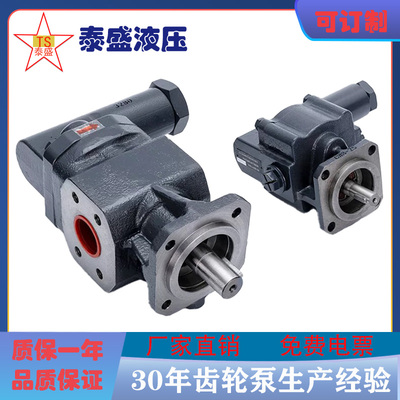 克拉克KRACHT齿轮泵KF25 40 50 80 RF2-D15 D-58791,KF6 RF 2 G15