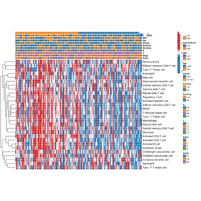 GEO,TCGA数据挖掘,多分组热图绘制,免疫浸润热图绘制