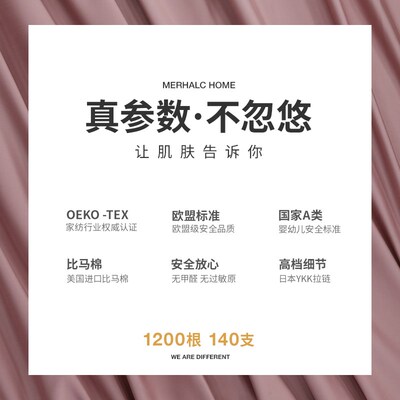 极速1200根床单n床笠单件纯棉秋冬季定制双人床垫保护套罩儿童被