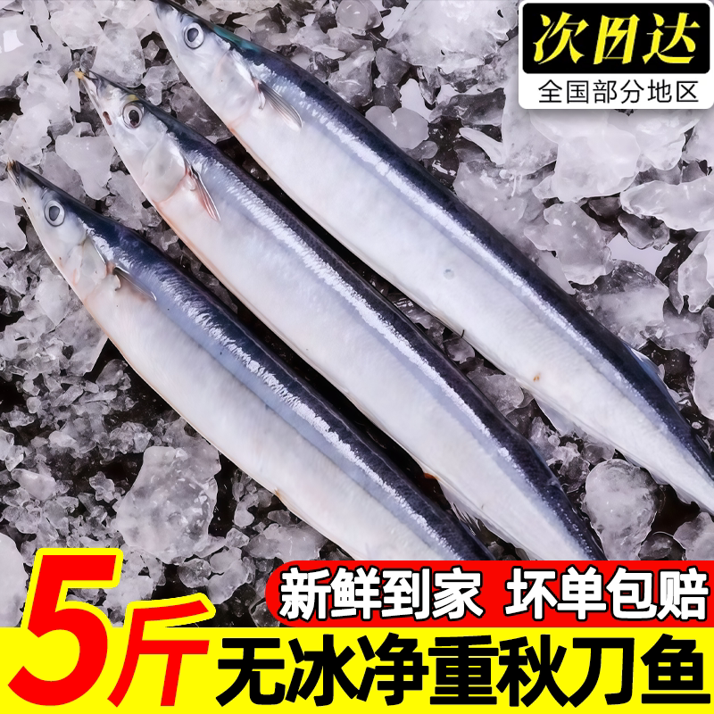 新鲜秋刀鱼冷冻特大号日式料理烧烤深海鱼食材海鲜水产鲜活商用