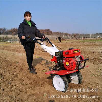 小型油旋XQE耕机走式柴农油汽微耕机自用松土耕整机
