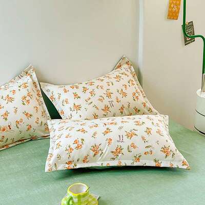 小清新A类纯品水舍GML洗棉四套亲肤床磨毛床单件被套罩宿三4件套