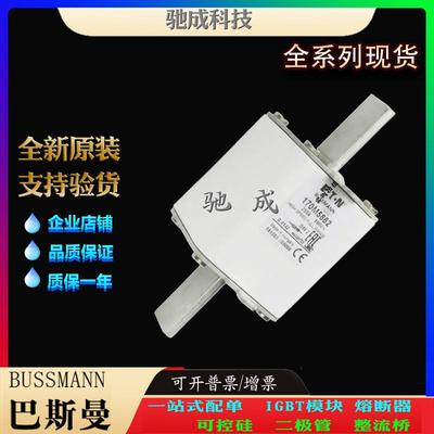 巴斯曼170M5882 170M5883 170M5884 加工制作销售 原装熔断器