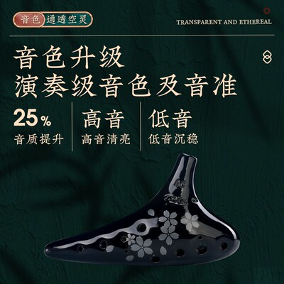 tng陶笛12孔专业  初学入门学生教学十二孔陶笛ac中音c/f调sc高音