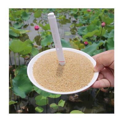 幼儿园儿童玩具沙房地产|楼盘亲子乐园沙池沙坑用无粉尘海沙