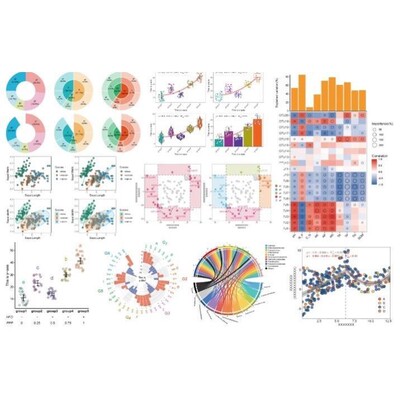 医学图像处理分割类辅导影像组学多模态融合预处理去噪MRI病理CT