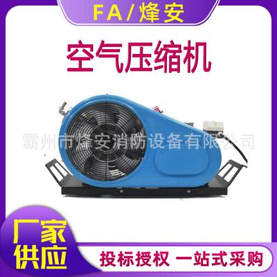 德国宝华BAUER250-TE高压空气压缩机 呼吸器充气泵