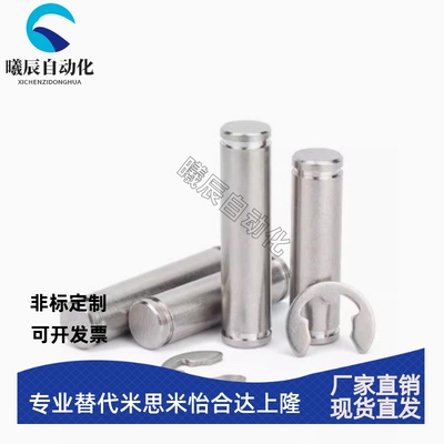 铰链销SHCCG SHCDG SHCCGH3 4 5 6 8 10-10 15 20 25 30CCG CCGH