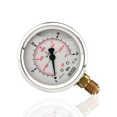供应德国WIKA威卡不锈钢压力表耐震充油径向YBN63 40MPA 5800PSI