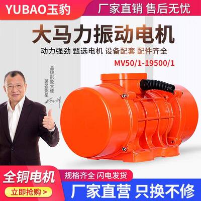 MV50/1-19500/1工业振动电机380v三相异步震动电机下料振动器国标